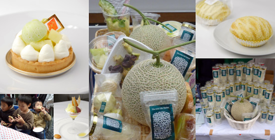 町田式水耕栽培|町田式新農法 | まちだシルクメロン 公式ホームページ | 町田式新農法（特許技術と水耕栽培）