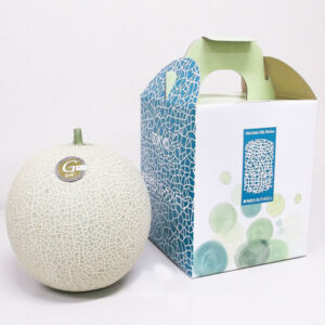 まちだシルクメロン | まちだシルクメロン 公式ホームページ | 町田式新農法（特許技術と水耕栽培）